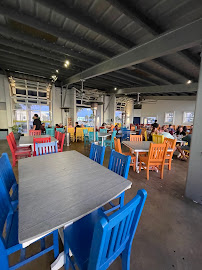 Viva South Padre Island Restaurant Menu | Fresh Seafood, Waterfront ...